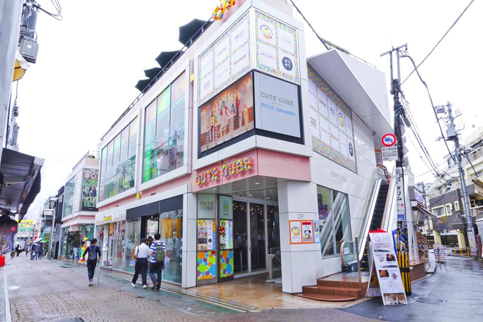 Cute_P1 | DPlus Guide